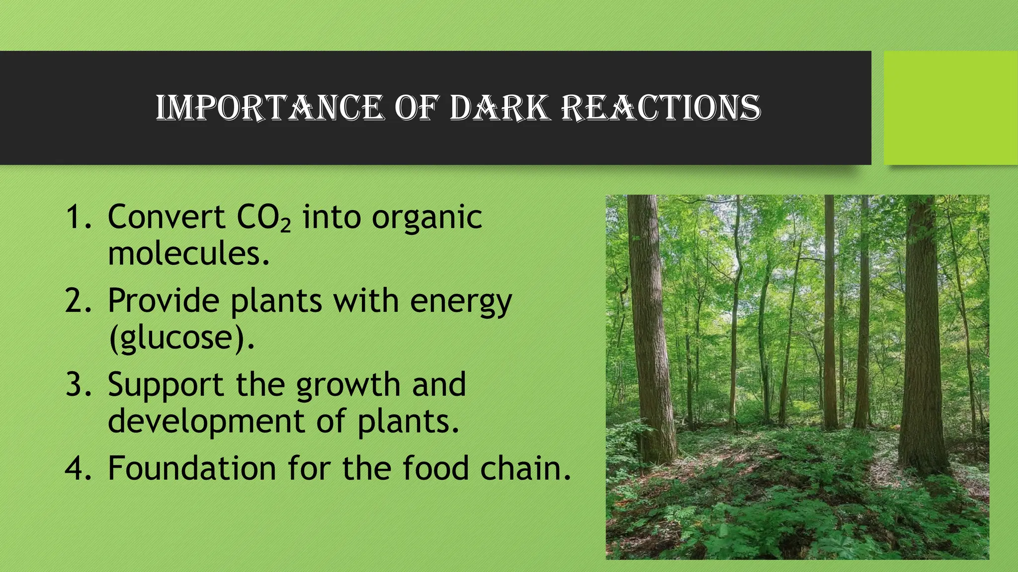 Dark reactions in plants and steps of it's cycle | PPT