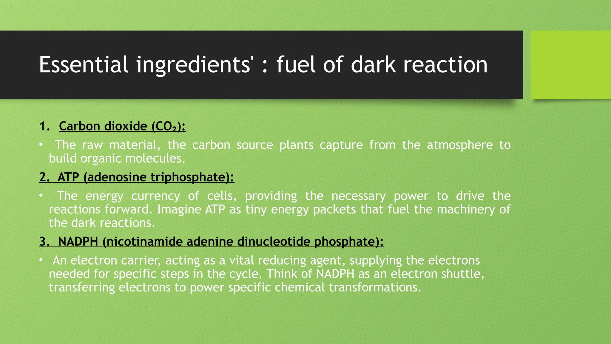 Dark reactions in plants and steps of it's cycle | PPT