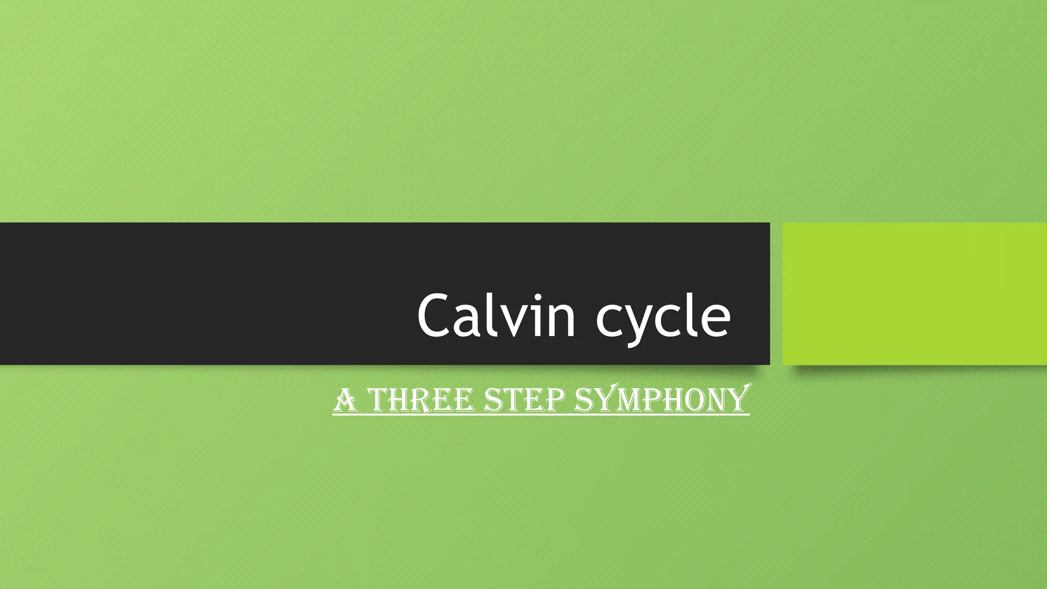 Dark reactions in plants and steps of it's cycle | PPT