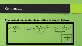 Dark reactions in plants and steps of it's cycle | PPTX