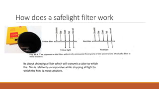 Dark room and film processing techniques rv | PPTX