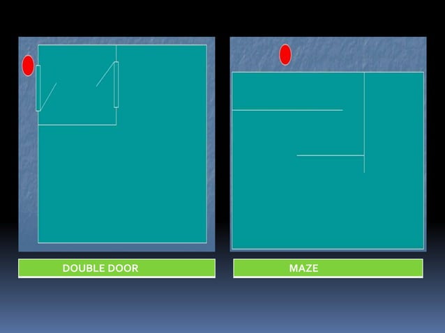 Dark room procedures | PPTX | Eye and Vision Conditions | Diseases and ...