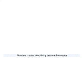 Signs of Allah in Nature | PPT