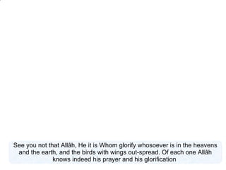 Signs of Allah in Nature | PPT