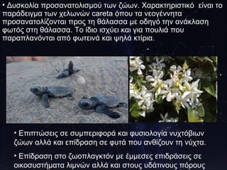 Φωτορύπανση: Σβήνουμε τα φώτα για να ανάψουν τα αστέρια | PPT