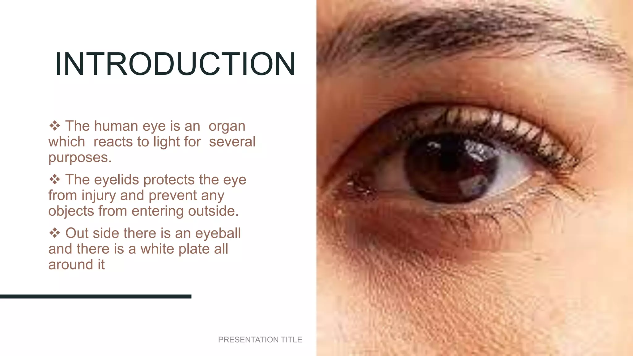 eye presentation.pptx