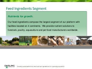 Darling Ingredients - Investor Presentation | PDF