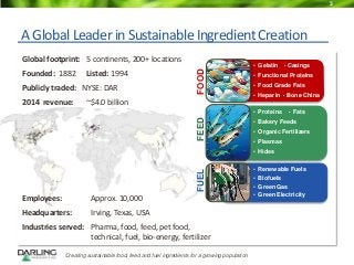 Darling Ingredients - Investor Presentation | PDF