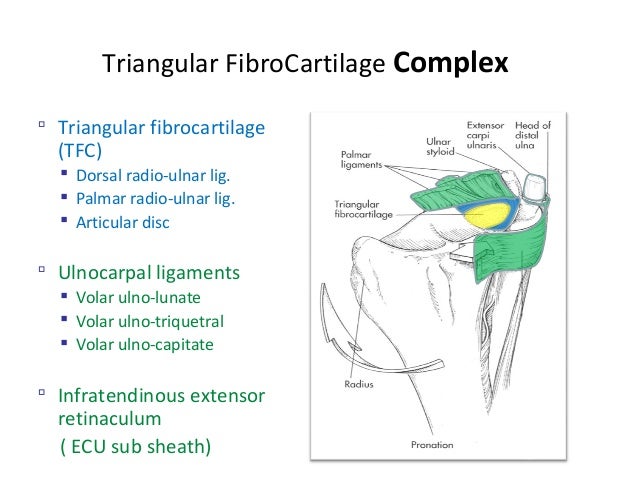 Images of TFCC - JapaneseClass.jp