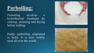 Improved Parboiling Methods in India | PPTX