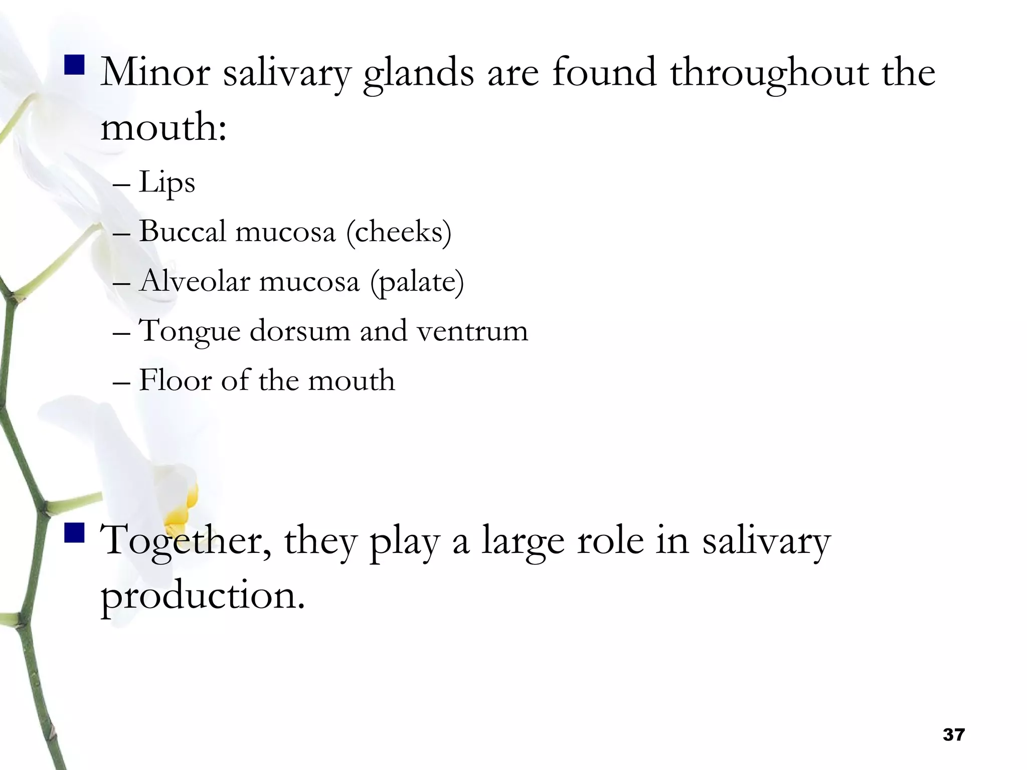 salivary gland and saliva darpan | PPT