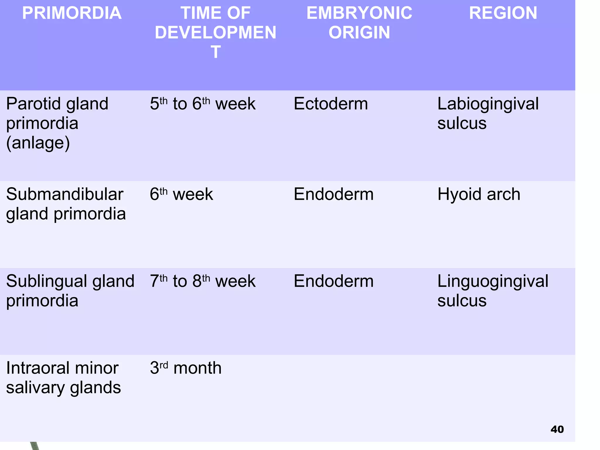 salivary gland and saliva darpan | PPT