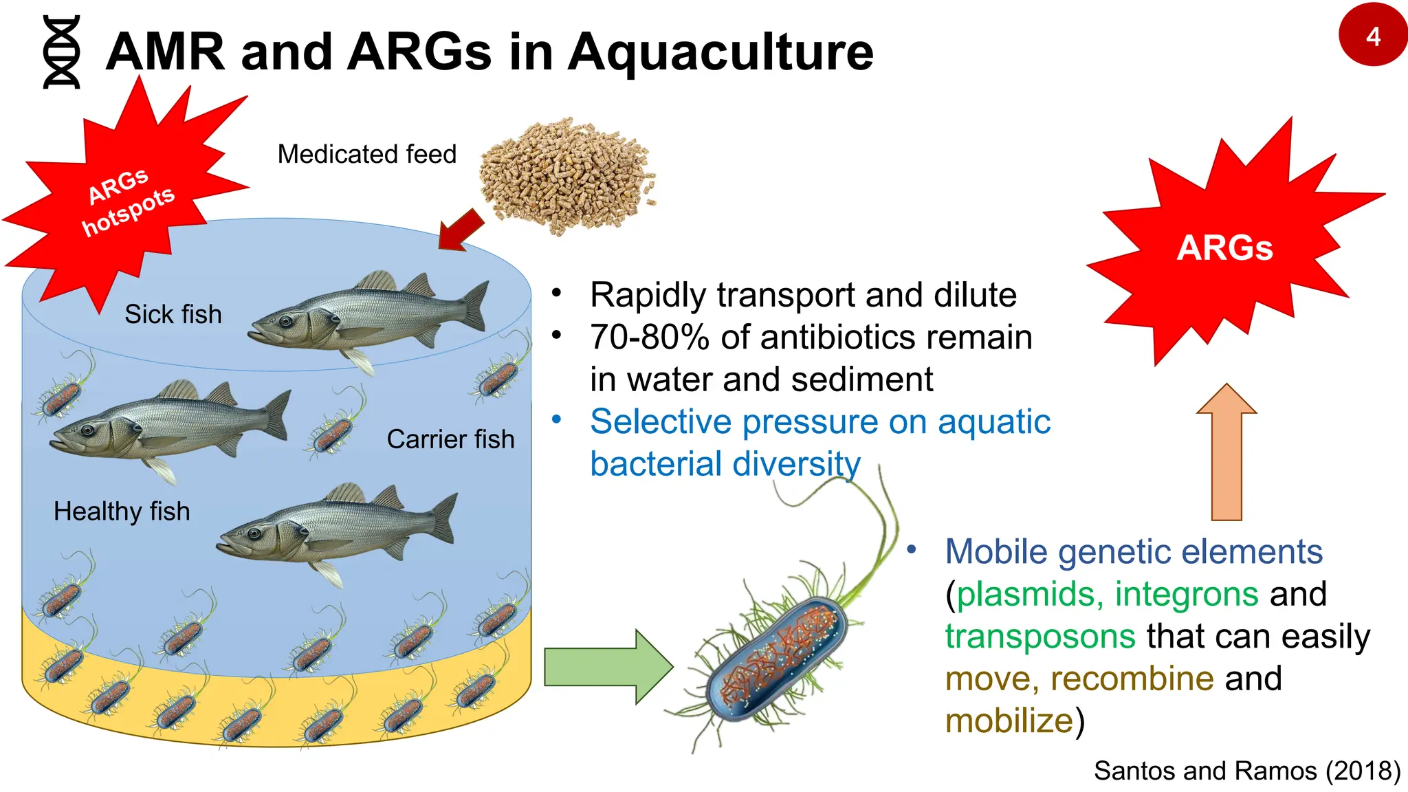 Antimicrobial Resistance in Aquaculture. | PPTX