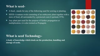 SEED PRODUCTION TECHNOLOGY.pptx SEED PRODUCTION | PPTX