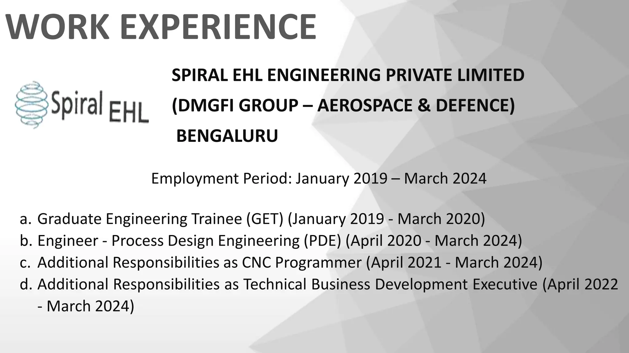 Professional Summary Self Introduction Resume | PDF