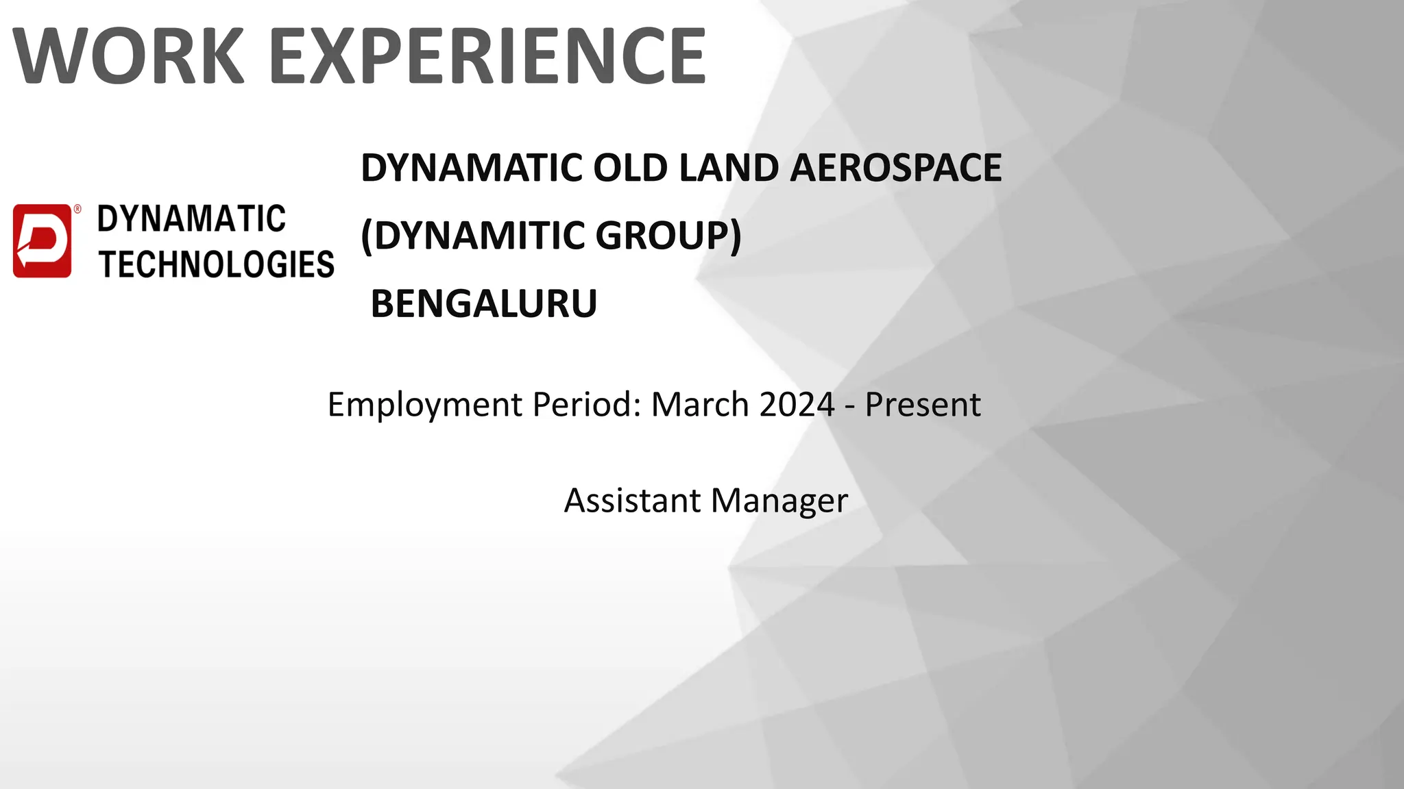 Professional Summary Self Introduction Resume | PDF