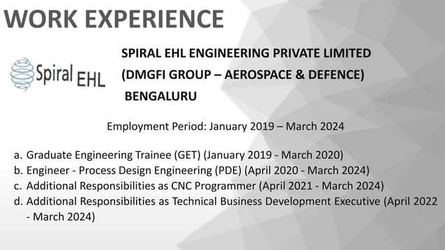 Professional Summary Self Introduction Resume | PDF