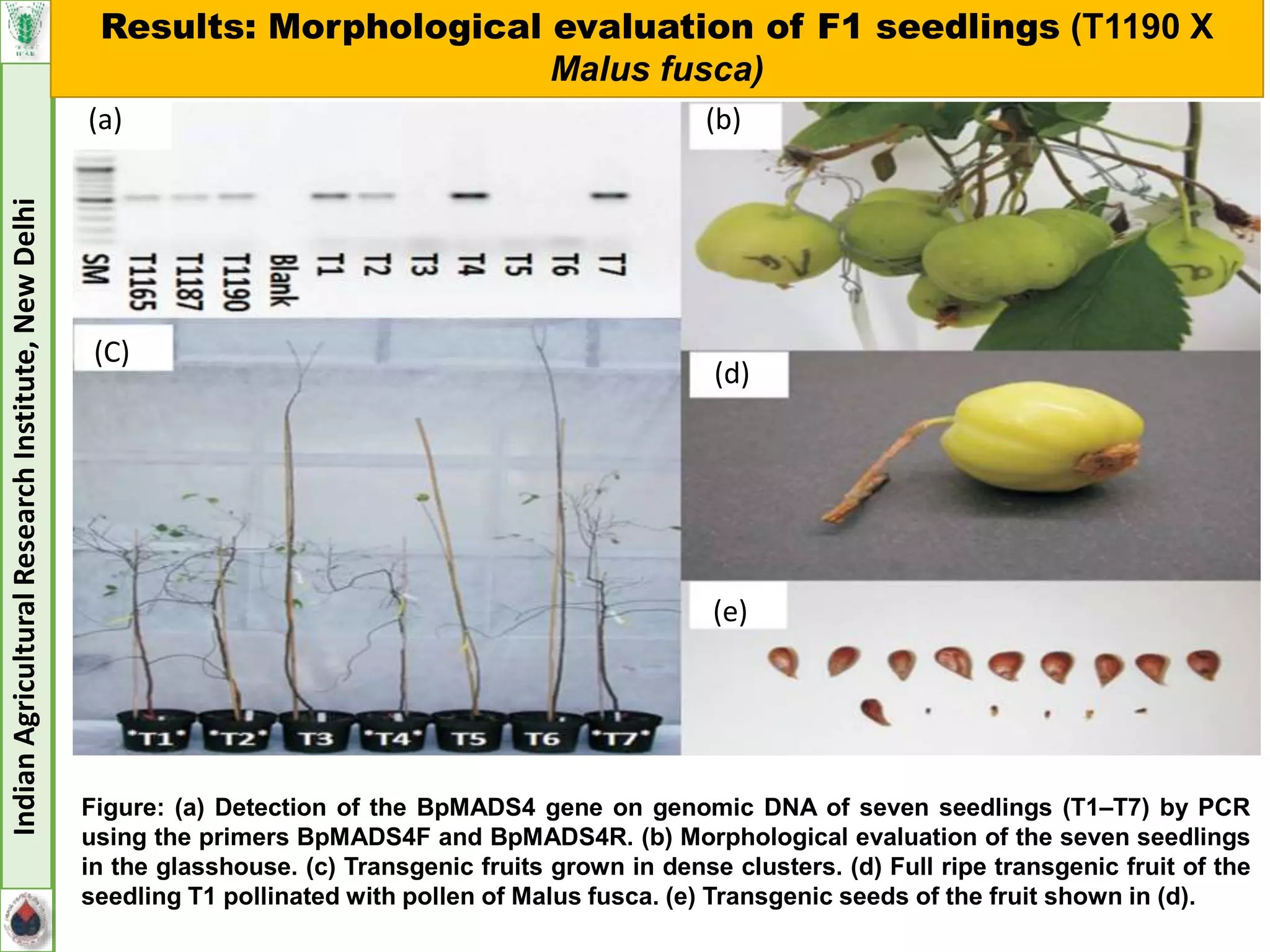 Fas-Track Breeding Approaches in Fruit Crops | PPT