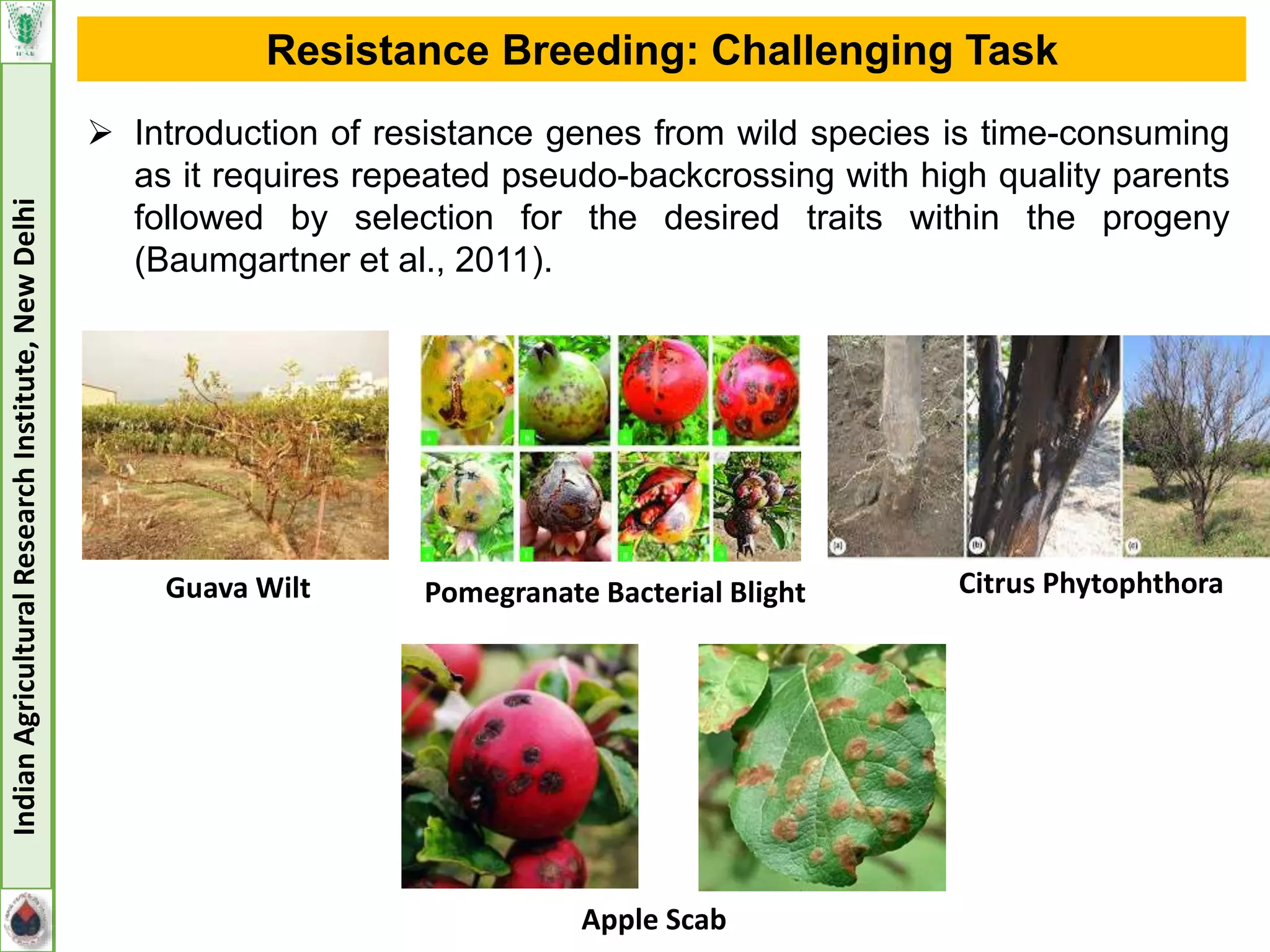 Fas-Track Breeding Approaches in Fruit Crops | PPT