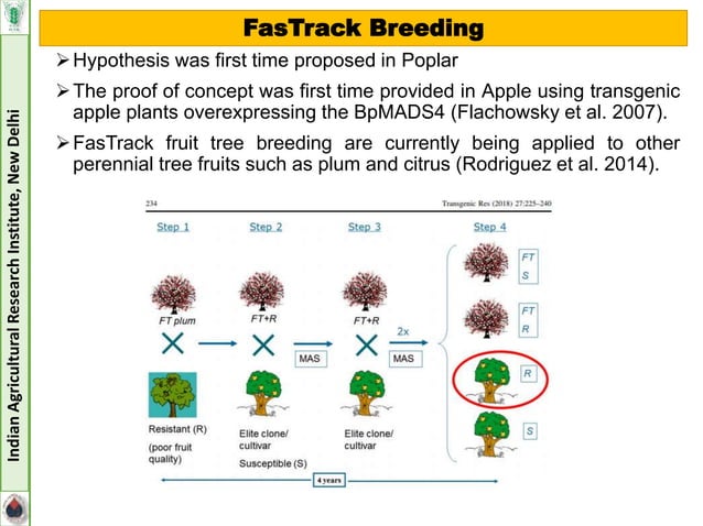 Fas-Track Breeding Approaches in Fruit Crops | PPT