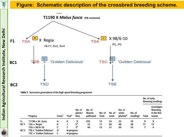 Fas-Track Breeding Approaches in Fruit Crops | PPT