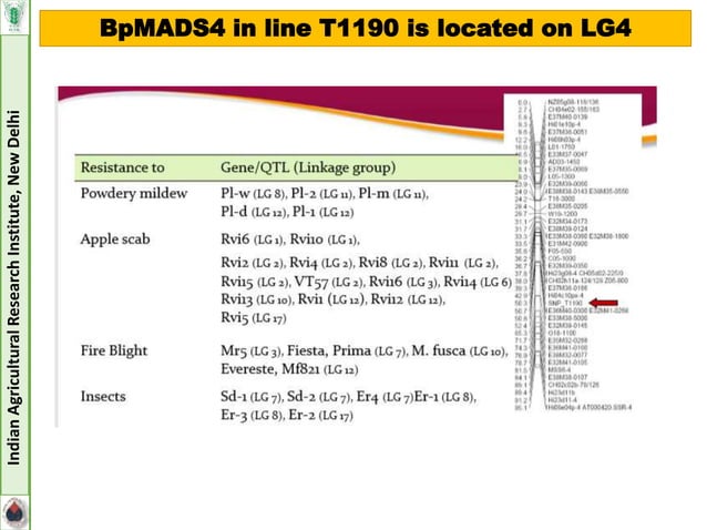 Fas-Track Breeding Approaches in Fruit Crops | PPT