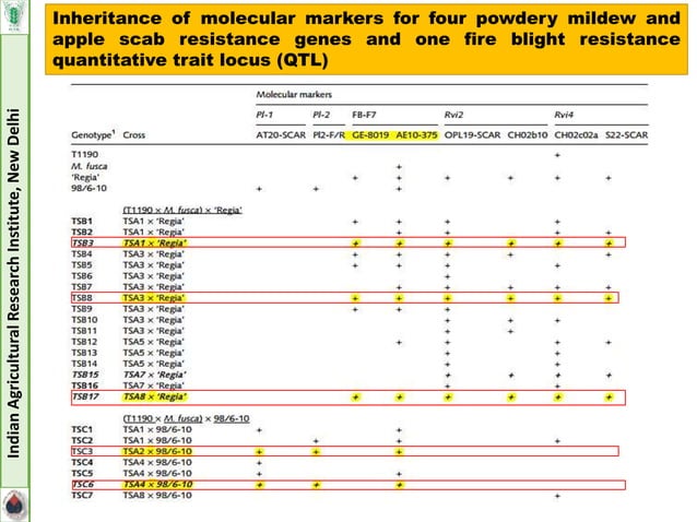 Fas-Track Breeding Approaches in Fruit Crops | PPT