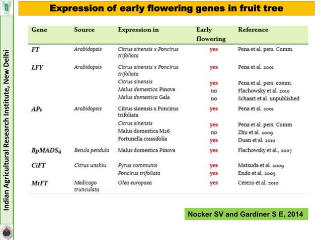 Fas-Track Breeding Approaches in Fruit Crops | PPT