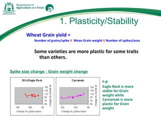 Can flexibility be built into cropping systems for adapting to climate ...