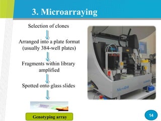 Diversity Arrays Technology