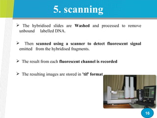 Diversity Arrays Technology