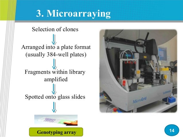 Diversity Array technology