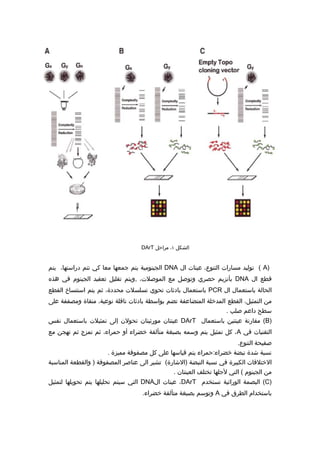 DArT (تقانة مصفوفات التنوع الحيوي ) | PDF