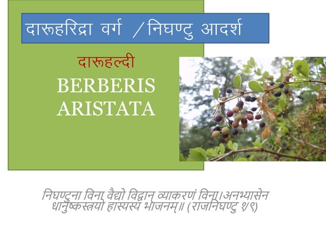 Daruhaldi berberis aristata | PDF