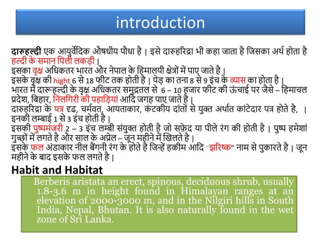 Daruhaldi berberis aristata | PDF