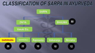 Darvekara sarpa and its contemaporary | PPTX