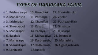 Darvekara sarpa and its contemaporary | PPTX