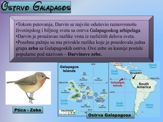 DARVINOVA TEORIJA EVOLUCIJE.pptx