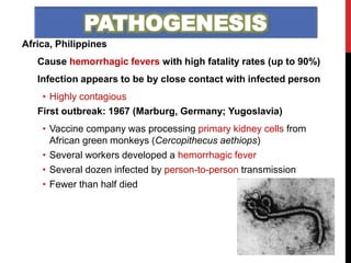 filovirus | PPT