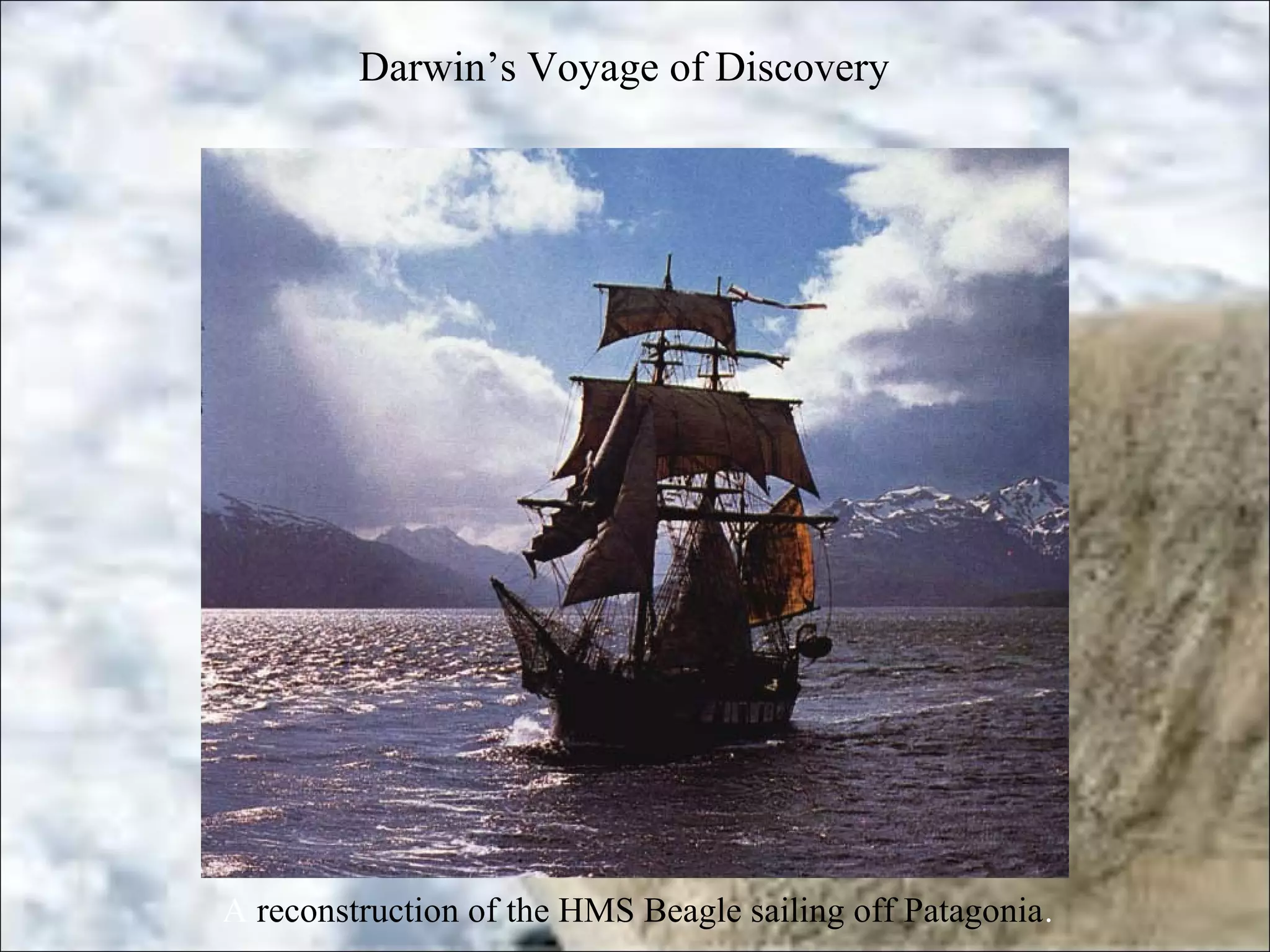 Darwin and-his-theory | PPT | Biological Sciences | Science