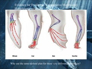 Darwin and-his-theory | PPT | Biological Sciences | Science