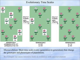 Darwin and-his-theory | PPT | Biological Sciences | Science