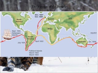 Darwin and-his-theory | PPT | Biological Sciences | Science