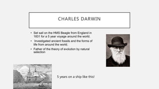 Darwin and evidences of evolution | PPTX