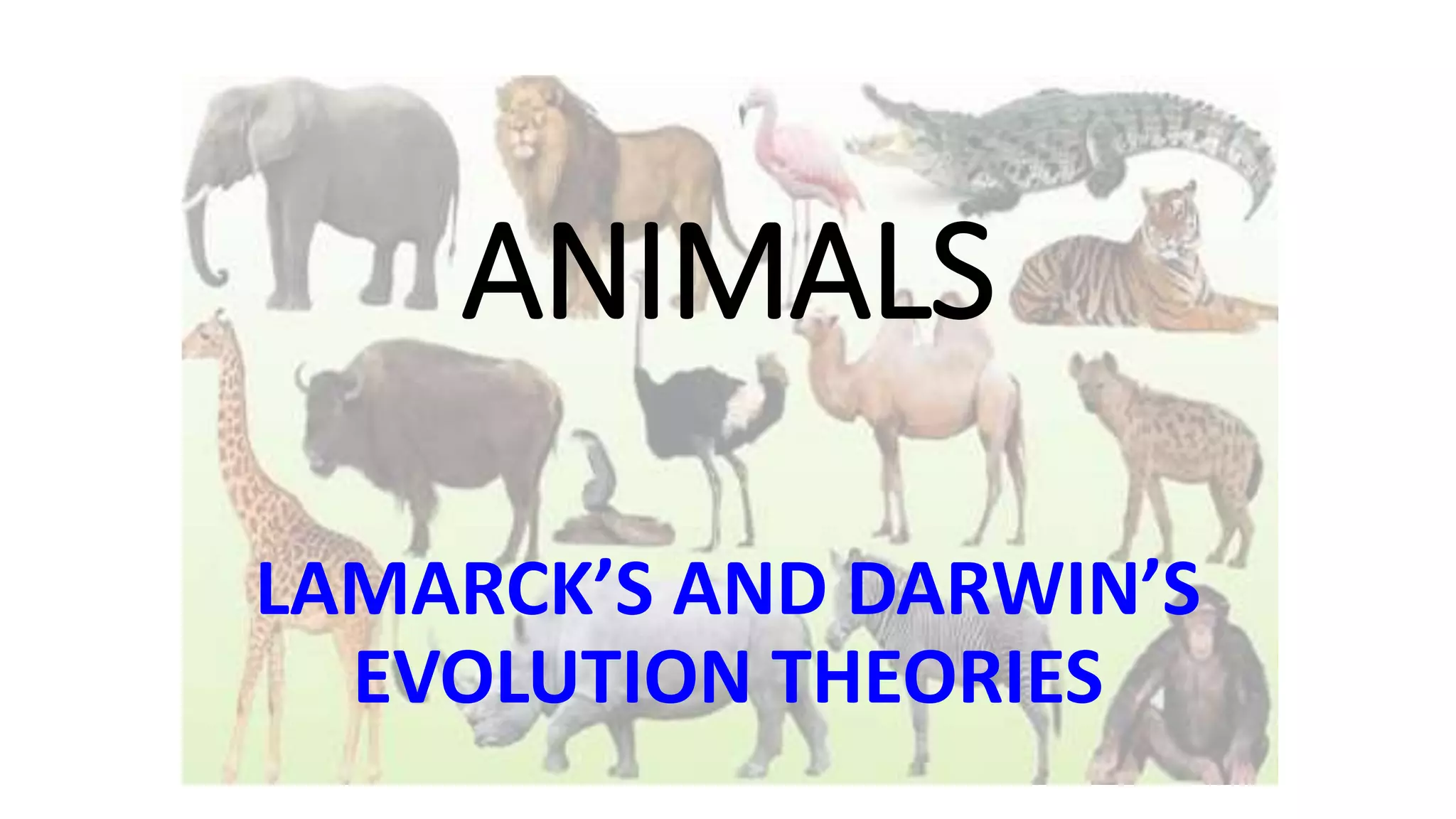 Darwin and lamarck evolution theories | PPTX