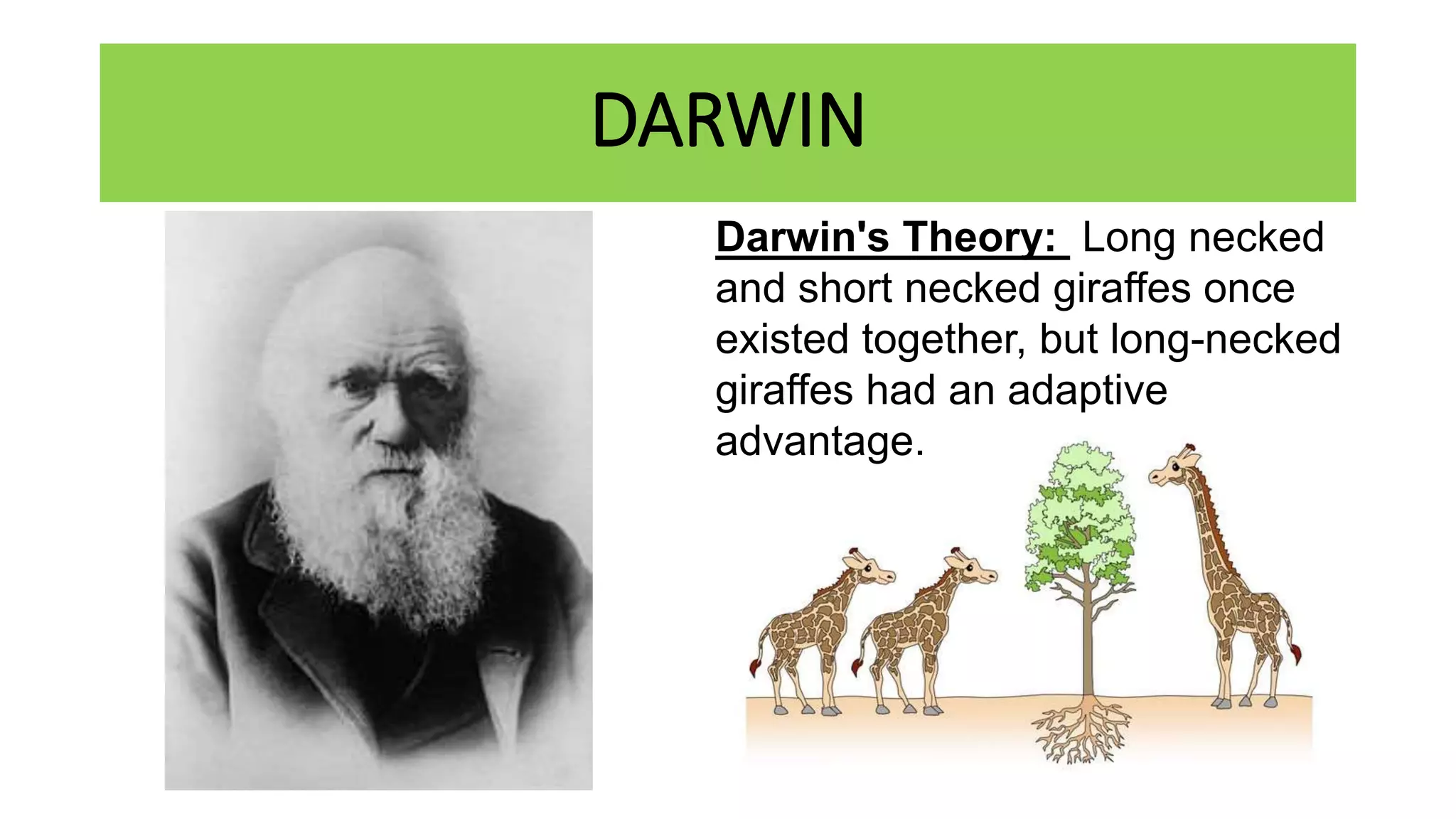 Darwin and lamarck evolution theories | PPTX | Biological Sciences ...