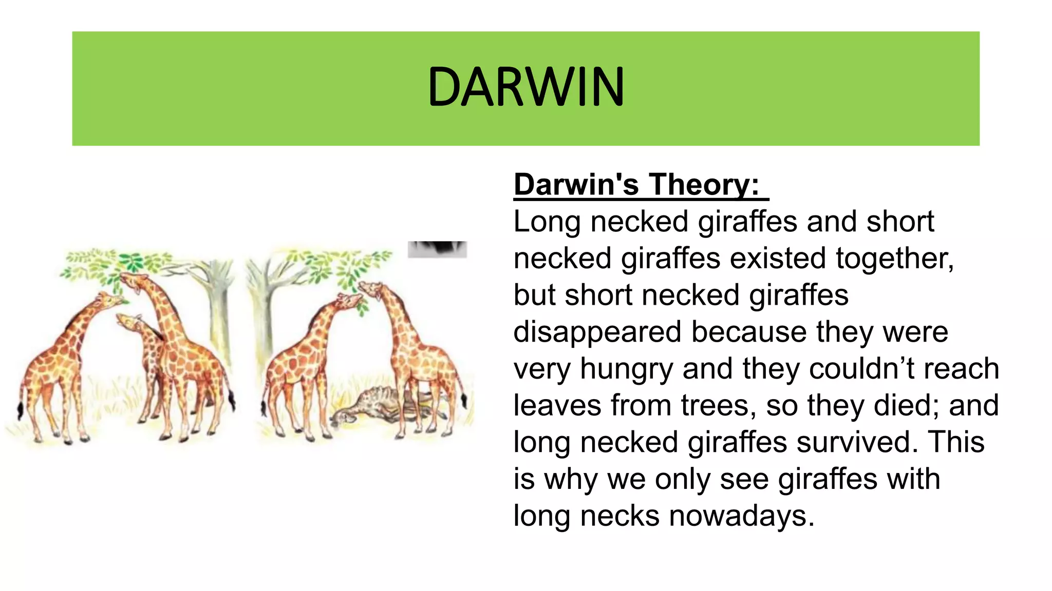 Darwin and lamarck evolution theories | PPTX