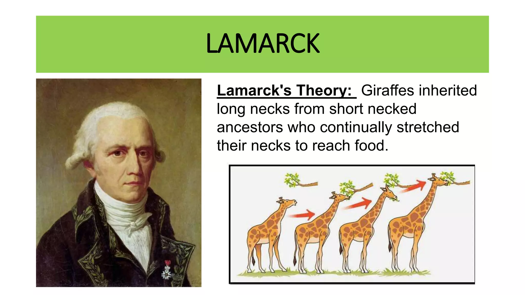 Darwin and lamarck evolution theories | PPTX