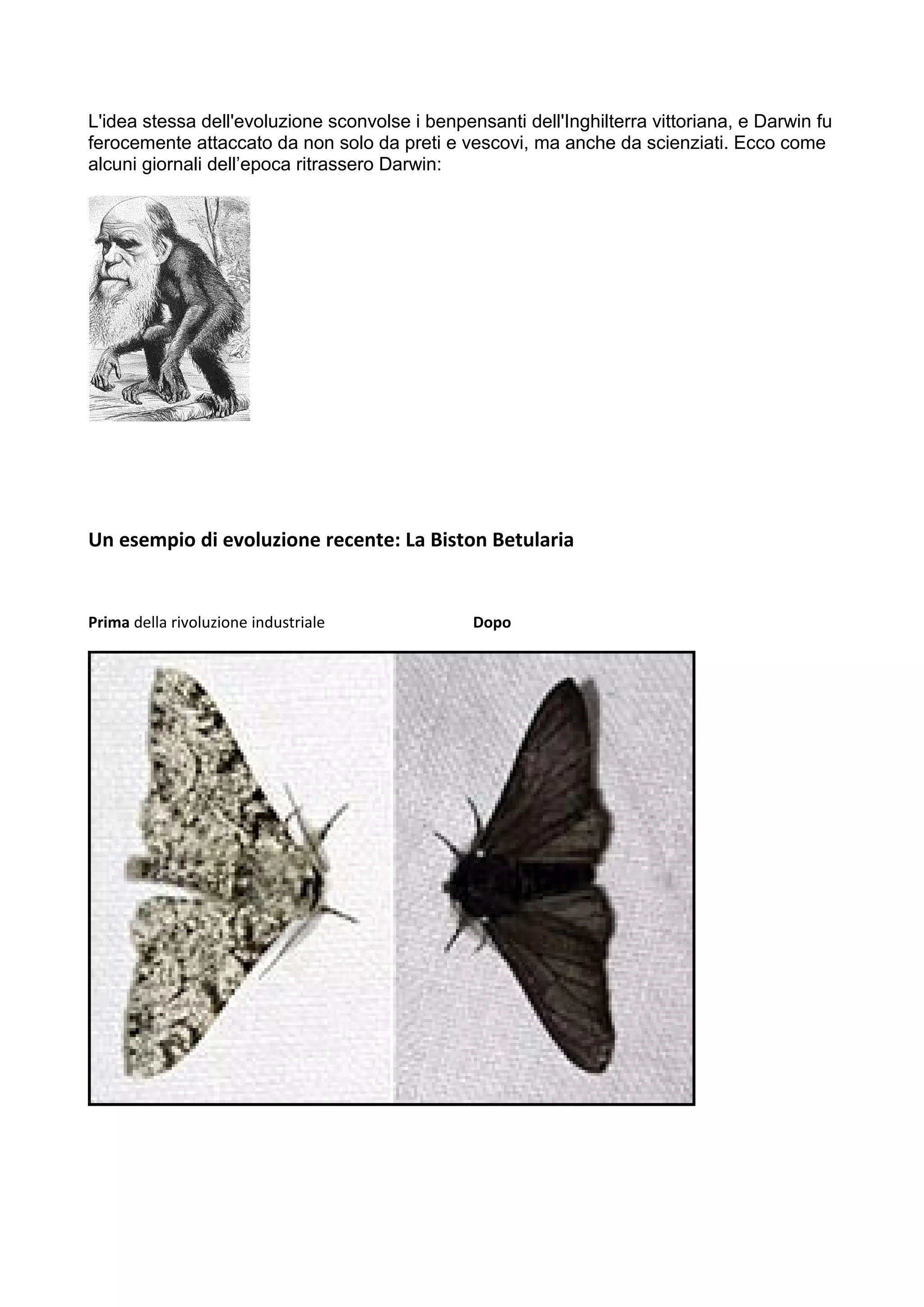 La teoria di Charles Darwin | DOC
