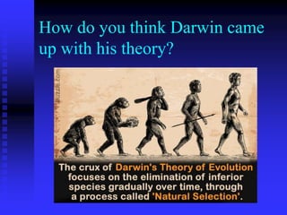 darwin evolution by R 3.pptx